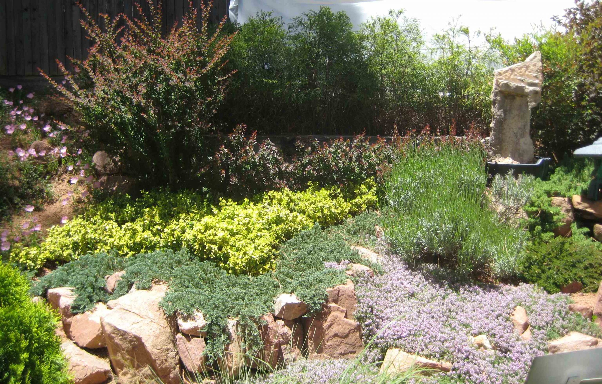 Cómo hacer una rocalla en el jardín - Nuevos Jardines | Jardinería ...