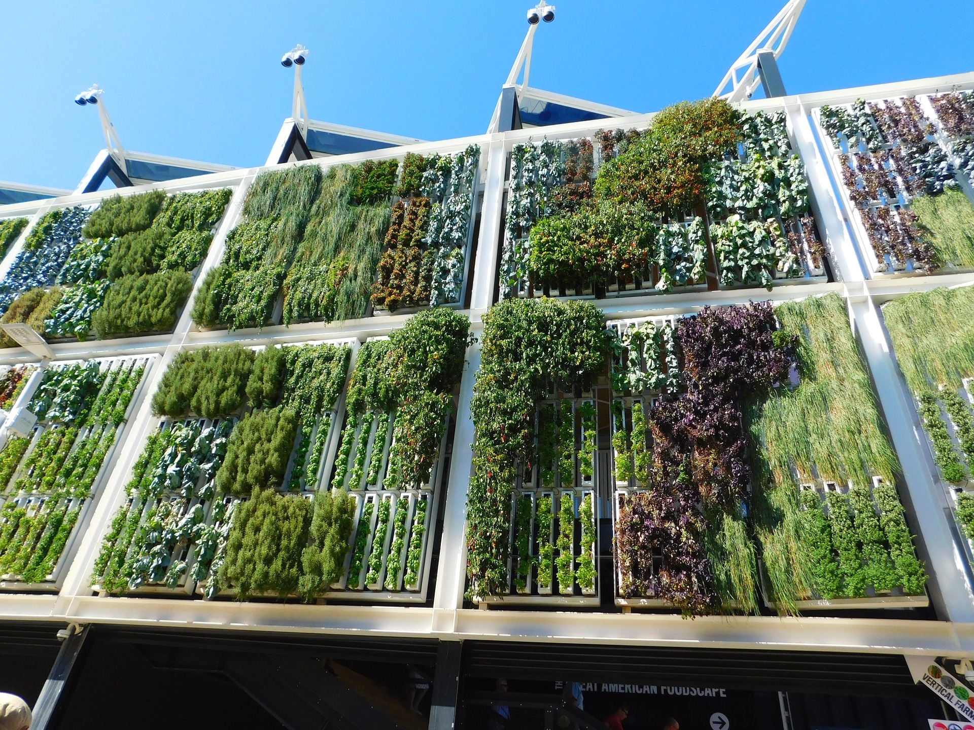 Jardines Verticales - Nuevos Jardines | Jardinería | Lugo | A Coruña ...